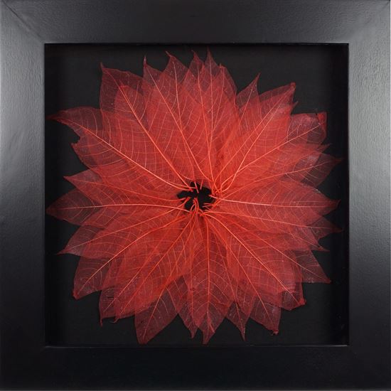 Huji Home Products. Tree Leaves Blossom Shadow Box Wall Décor (MS12070E ...