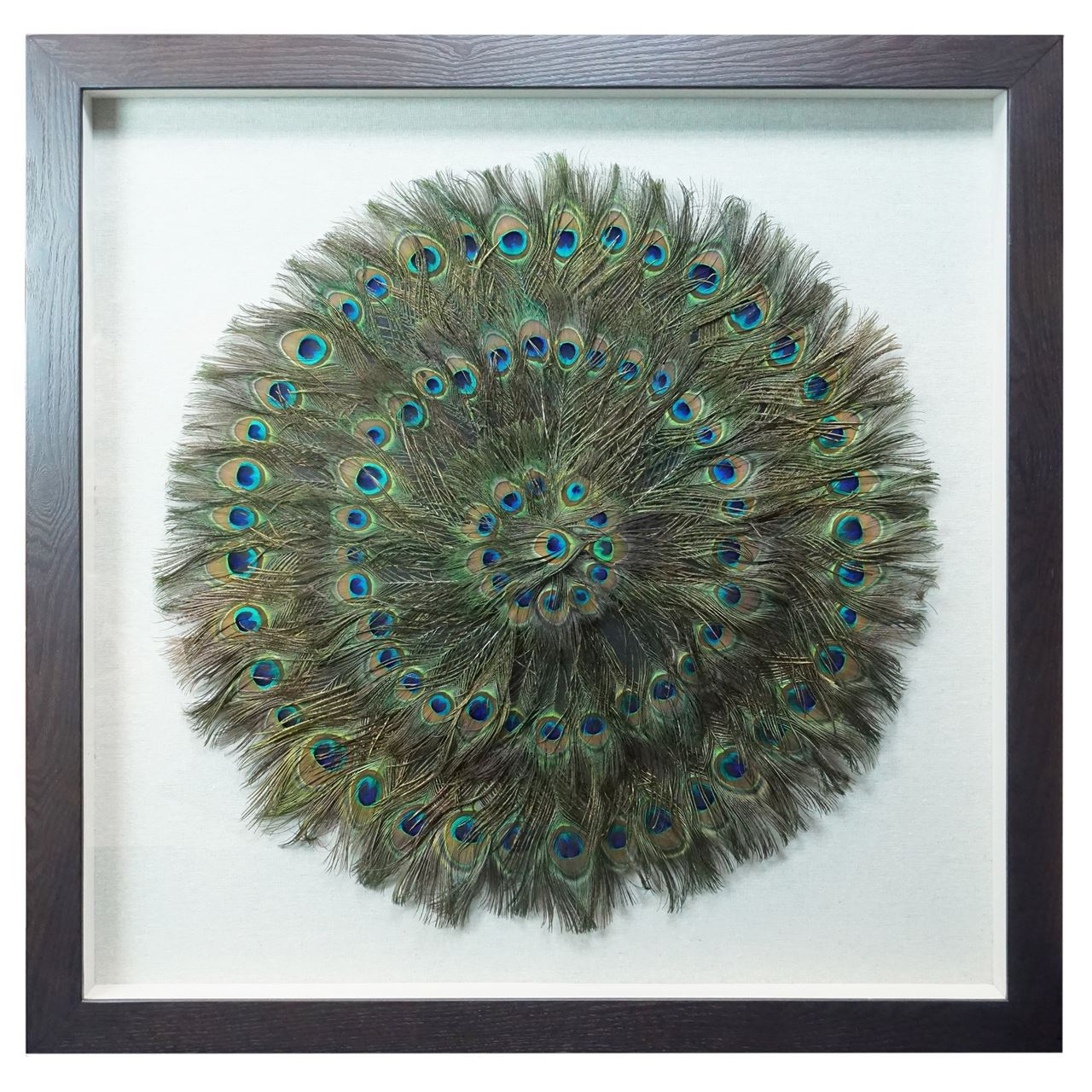 Huji Home Products. Peacock Feathers Circle Shadow Box (MS45201) 35.43 ...