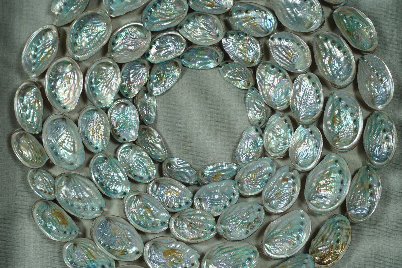 Huji Home Products. Abalone Shell Rings Shadow Box Wall Décor (MS56027 ...