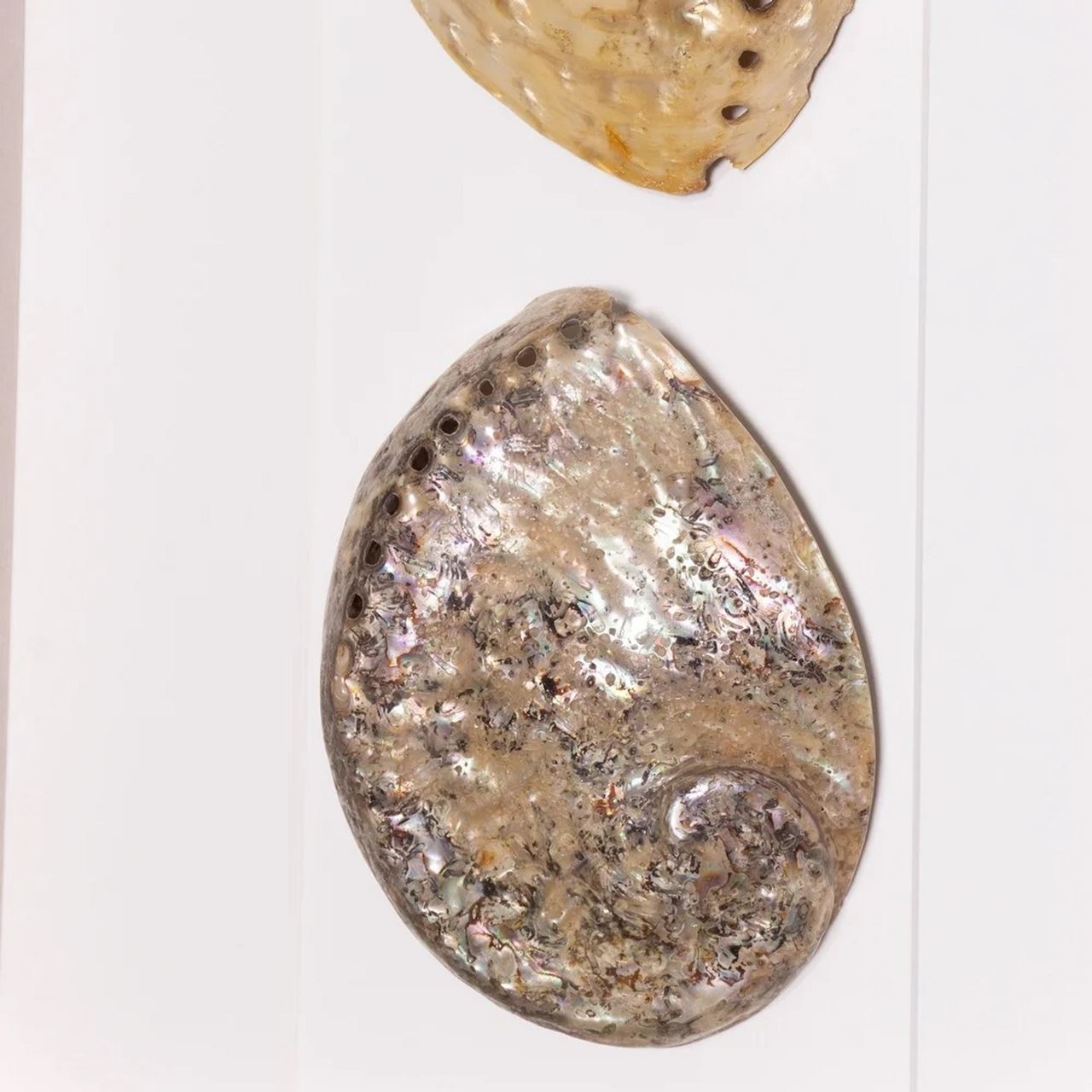 Huji Home Products. HUJI Abalone & Pearl Shell Shadow Box Wall Décor Set