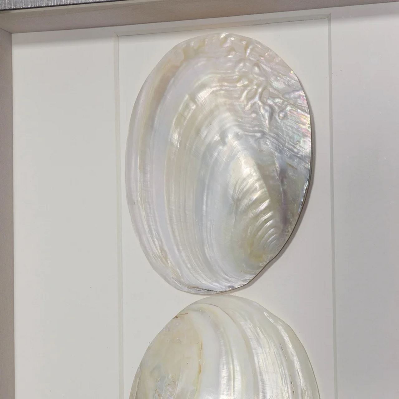 Huji Home Products. HUJI Abalone & Pearl Shell Shadow Box Wall Décor Set