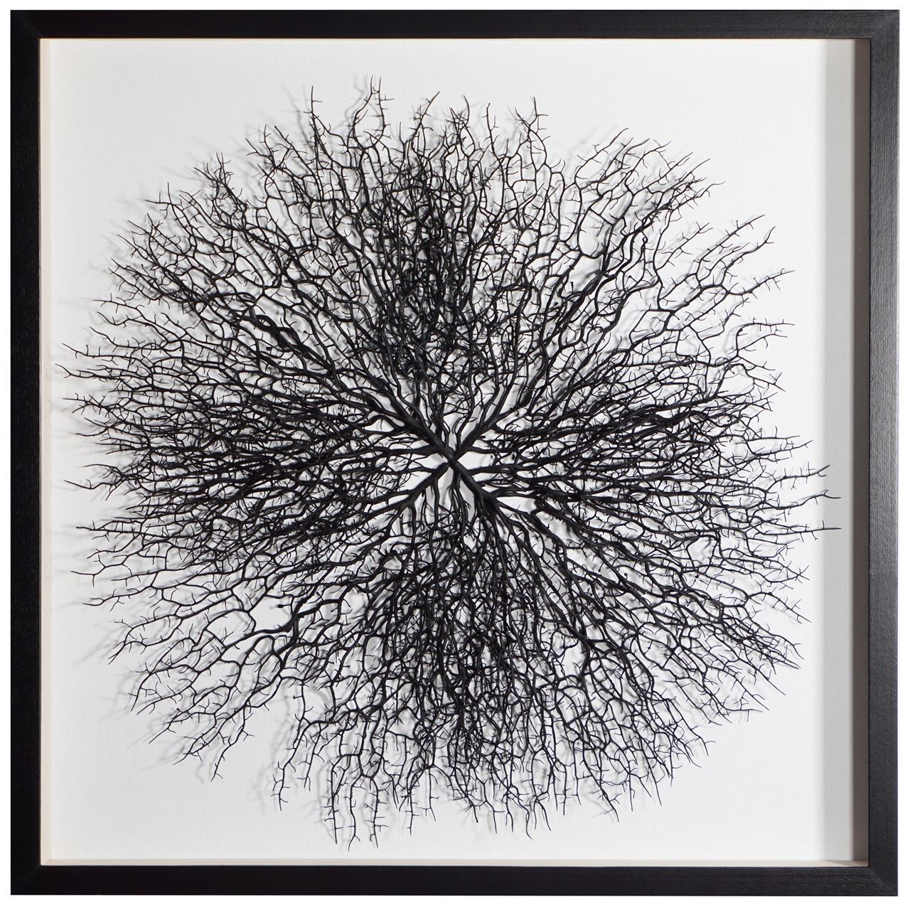 Huji Home Products. Tree Roots Shadow Box Wall Decor (MS56022AG) 31.50 ...