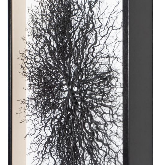 Huji Home Products. Tree Roots Shadow Box Wall Decor (MS56022AG) 31.50 ...